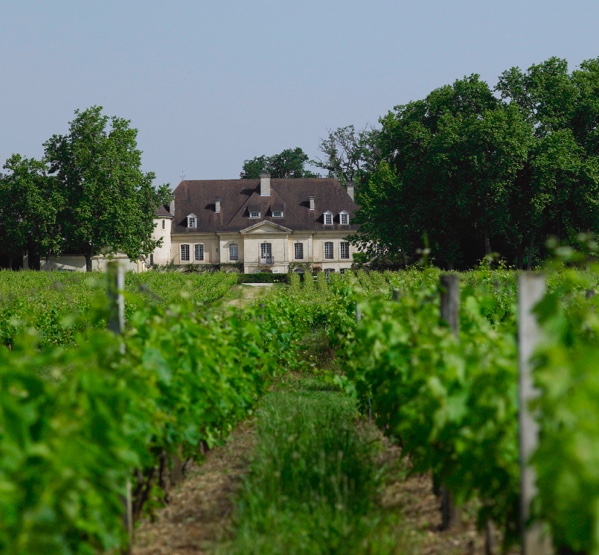 Route des vins Graves et Sauternes ⭐️ Itinéraire 2025