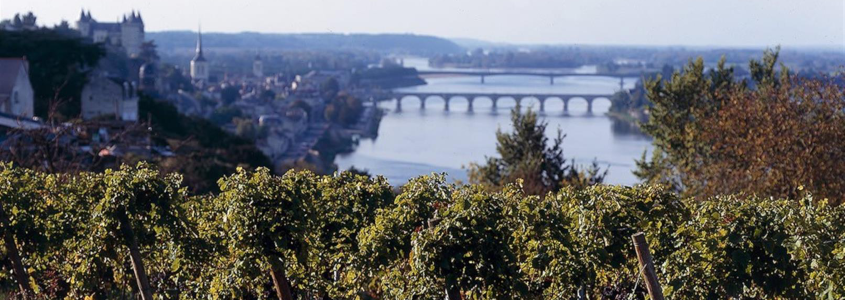 Route des vins de l’Anjou et de Saumur – Guide, circuit et itinéraire