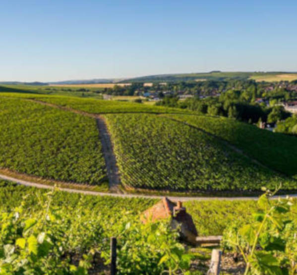 Visiter Chablis : les incontournables ⭐️ 2026