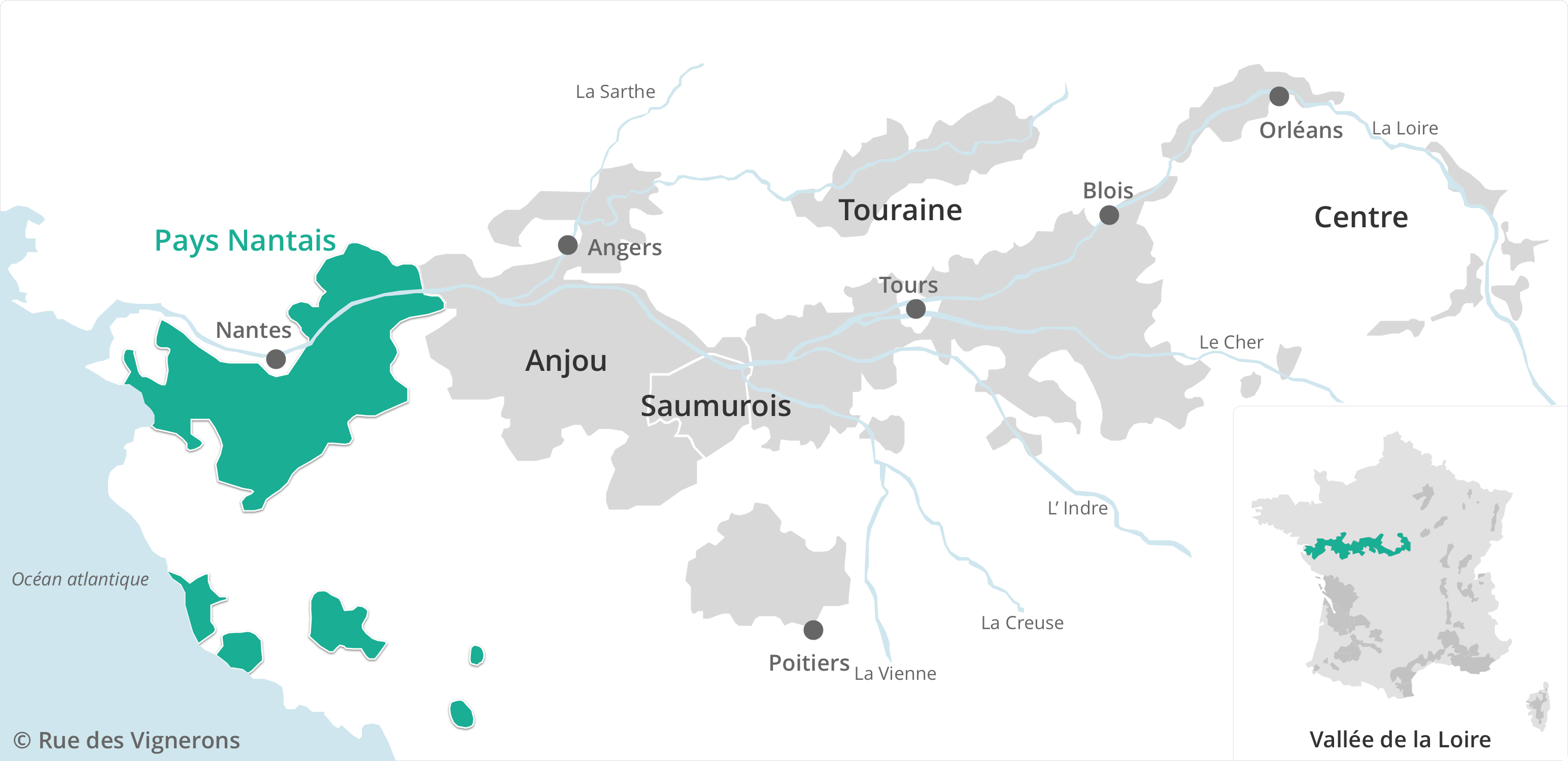 Vignoble Nantais : tout savoir sur les vins du Pays Nantais