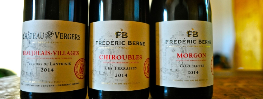 AOC Morgon : guide de l'appellation et des vins