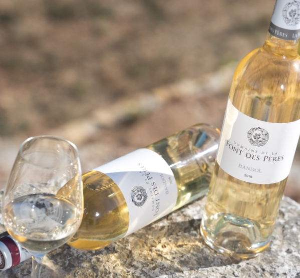 Bandol blanc : tout savoir sur ce vin