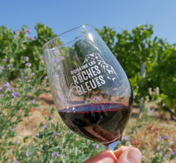 Brouilly rouge : tout savoir sur ce vin